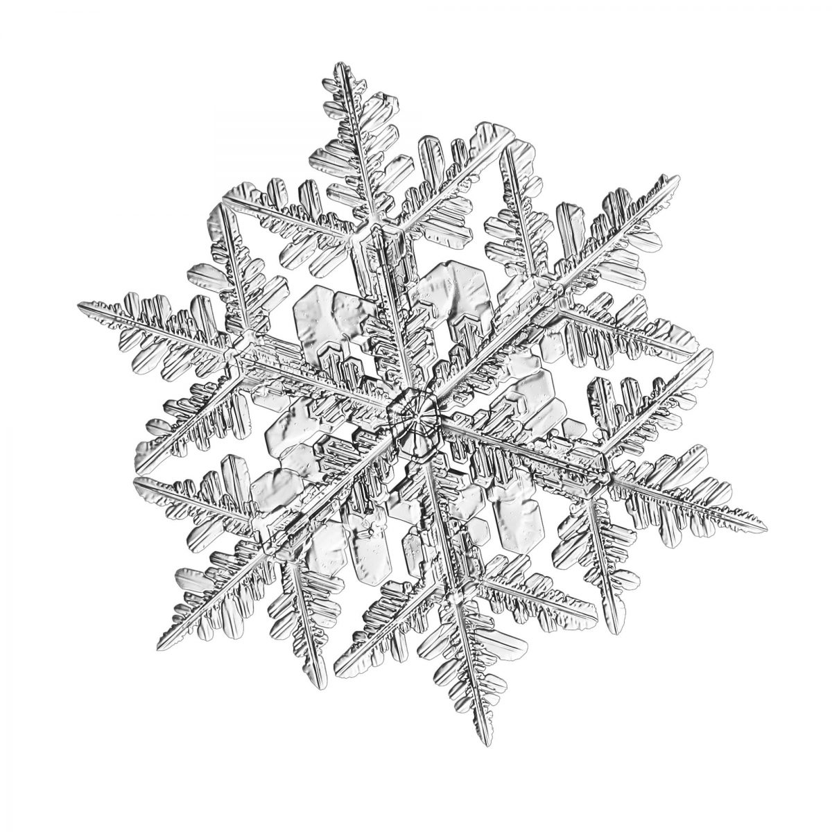 What is a Fractal? - The Ultimate Guide to Understanding Fractals